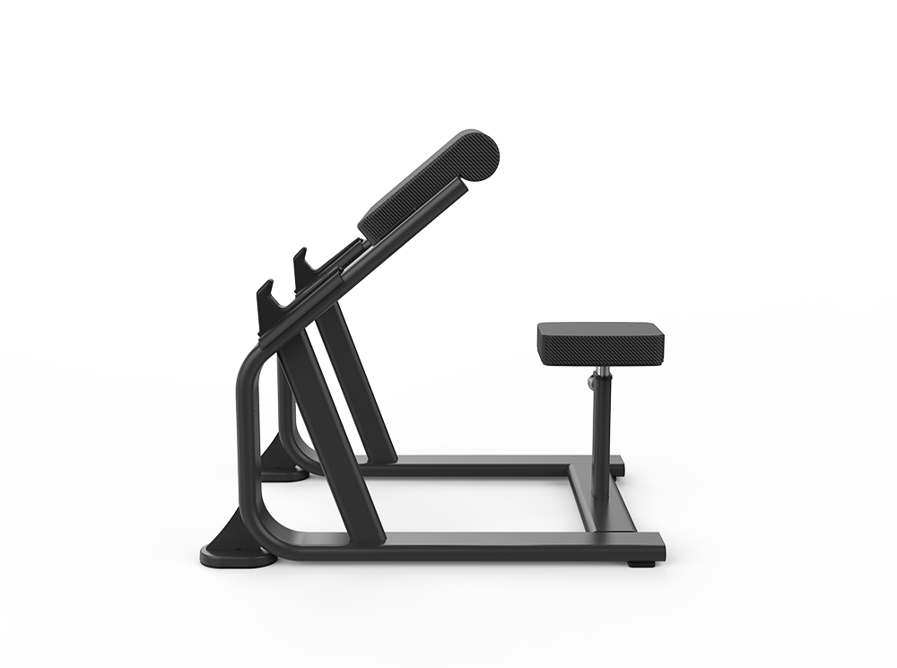 Shua 63 Series Arm Curl Bench (7 Year Warranty)