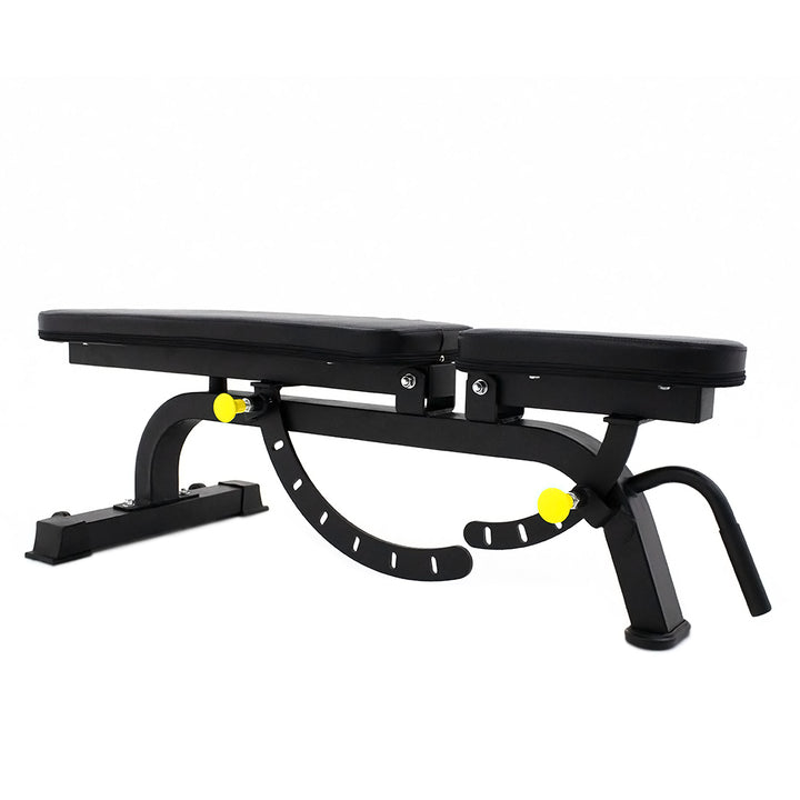 Shop Gym Benches for Home & Commercial use in Dubai & Abu Dhabi ...
